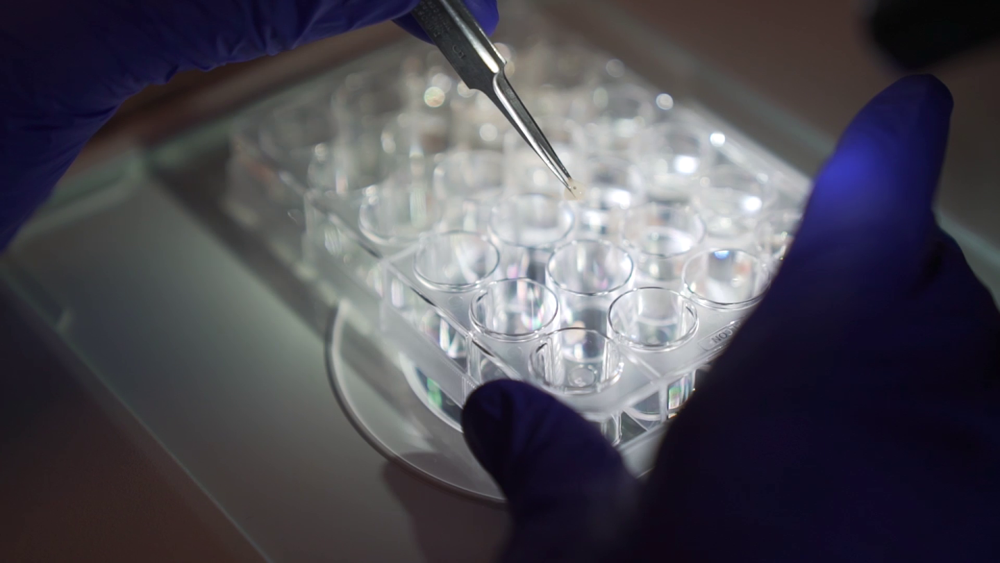 Faculty | Department of Neuroscience | Brown University