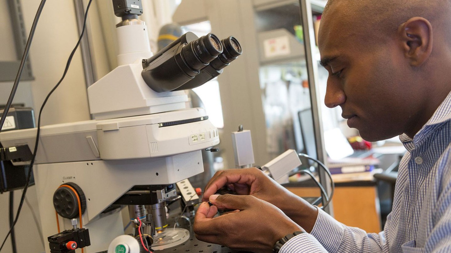 Neural Circuits | Department of Neuroscience | Brown University